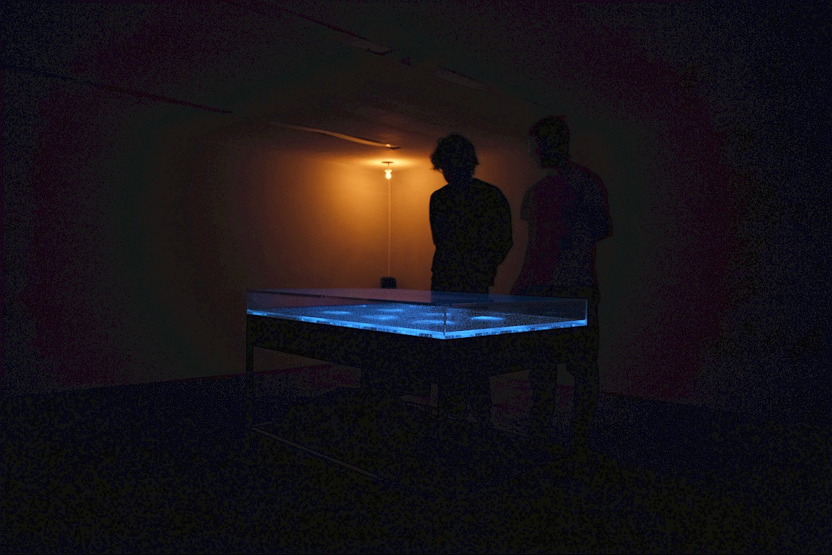 Andreas Greiner & Tyler Friedman